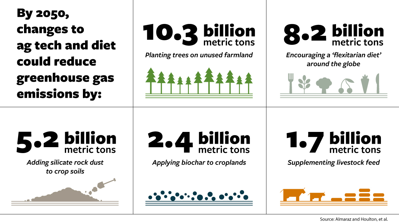 how-ag-tech-can-make-food-sector-climate-friendly-by-2050 | Trendy Digests